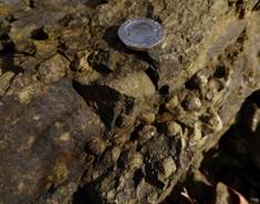 Mathon Walk | Malvern U3A Geology Website